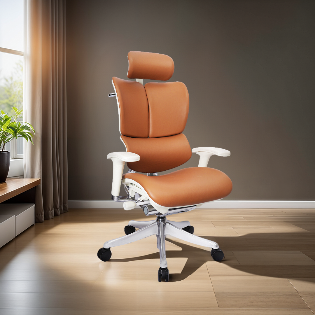 Ideal Sitting Habits for Healthy Living: Master the Ergonomic Sitting ...